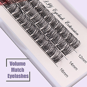 Veleasha DIY Eyelash Extension Individual Lashes with Clear Band D Curl Lash Extension Strip 39 Clusters Reusable Wispy False Eyelashes for Personal DIY at Home / FD02 12-16MM