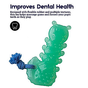 Petstages Orka Chewit Lil' Caterpillar Dog Chew Toy