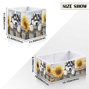 YMGQYJ Cute Husky Collapsible Storage Cube, Foldable Closet Organizers Storage Bins with Support Board for Shelf Closet Cabinet 15.7×10.6×6.9 IN