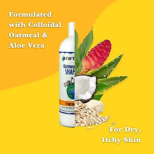 earthbath, Oatmeal & Aloe Dog Shampoo – Oatmeal Shampoo for Dogs, Itchy, Dry Skin Relief, Dog Wash, Made in USA, Cruelty Free, Fragrance Free Pet Shampoos – 16 Oz (1 Pack)