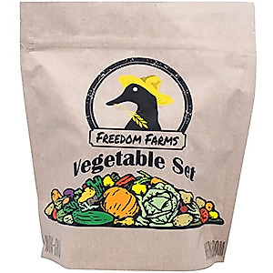 Set of 43 Assorted Vegetable & Herb Seed Packets - Over 10,000 Seeds! - Includes Mylar Storage Bag - Deluxe Garden Heirloom Seeds - 100% Non-GMO