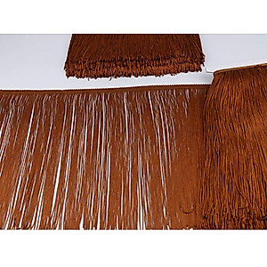 Heartwish268 Fringe Trim Lace Polyerter Fibre Tassel 12inch（″） Wide 10 Yards Long for Clothes Accessories and Latin Wedding Dress and DIY Lamp Shade Decoration Black Brown Coffee