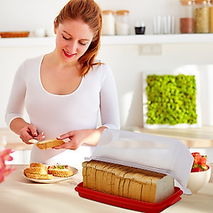 Bread Box -Dual Use Bread Holder/Airtight Plastic Food Storage Container for Dry or Fresh Foods -2 in 1 Bread Bin- Loaf Cake Keeper/Baked Goods -Keeps Bread Fresh- Red and Clear Cover - Signoraware (Red)
