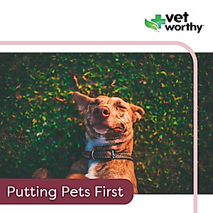 Vet Worthy Anti-Diarrhea for Dogs - Dog Supplement to Help Relieve Diarrhea, Stomach Upset, and Discomfort - 8oz