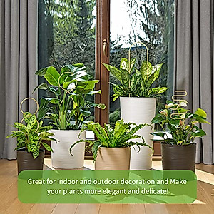 4 Pcs Small Metal Trellis for Potted Plants,Gold Trellis for Climbing Plants Indoor,Mini Trellis for Potted Plants Support Stake House Plant Trellis for Garden Potted Plant,Hoya,Pothos,Flower,Monstera