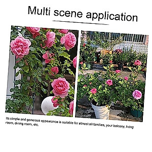 Happyyami 1 Set European Gardening Plant Stand Plant Supports Pergola Brackets Climbing Trellis for Plants Outdoor Plant Support Trellis Plant Support Rack Black Balcony Mountain Rose Flower