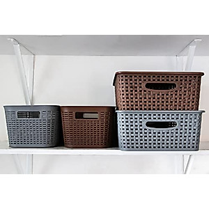 IPP 4 Pack Plastic Rattan Type Organizer Baskets (Beige)