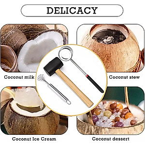 UnisonPet Coconut Opener Tool Set, Stainless Steel Coconut Opener Kit with Rubber Mallet Meat Removal Scraper, Coconut Drill Young & Mature Coconut Opening Tool