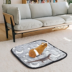 3PCS Guinea Pig Bedding Glow in Dark Small Pet Warm Liners Washable Hamster Bedding Pads, Absorbent & Anti Slip Rat Dragon Luminous Bedding Playing Mats for Small Animals, 14 inch