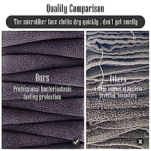 TENSTARS 12 Pack Premium Washcloths Set - Quick Drying- Soft Microfiber Coral Velvet Highly Absorbent Wash Clothes - Multipurpose Use as Bath, Spa, Facial, Fingertip Towel (Grey)