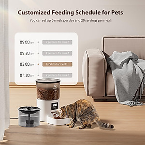 IMIPAW Automatic Cat Feeder and Water Fountain, Timed Pet Dry Food Dispenser, Programmable Portion Control, 1-6 Meals Per Day, Cat Fountains for Drinking with Filter, Small Pets (3L Combo)