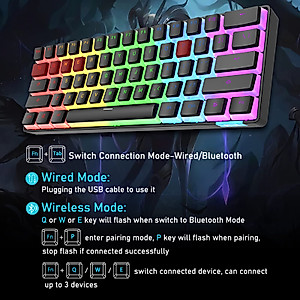 Mini Wireless 60% Dual Mode BT5.0/USB-C Wired Mechanical Gaming Keyboard with Pudding Keycaps Rainbow Backlit Ergonomic Rechargeable Anti-ghosting 61Key for PC Typist Mac Gamer(Black PBT/Red Switch)