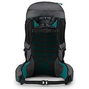 Osprey Tempest Pro 28L Women's Hiking Backpack, Titanium, WXS/S