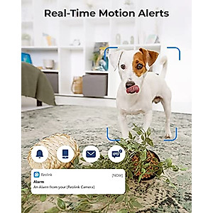 REOLINK Wireless Security Camera, E1 3MP HD Plug-in Indoor WiFi Camera for Home Security, Pan Tilt Baby Monitor/Pet Camera, Night Vision, Works with Alexa/Google Assistant (Renewed)