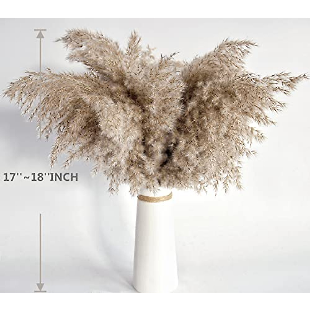 Pampas Grass Decor, Natural Dry Pampas Grass Small, Short Pampass Bulk for Farmhouse, Wall, Kitchen, Bedroom Decor, Office Decor (17 inch )
