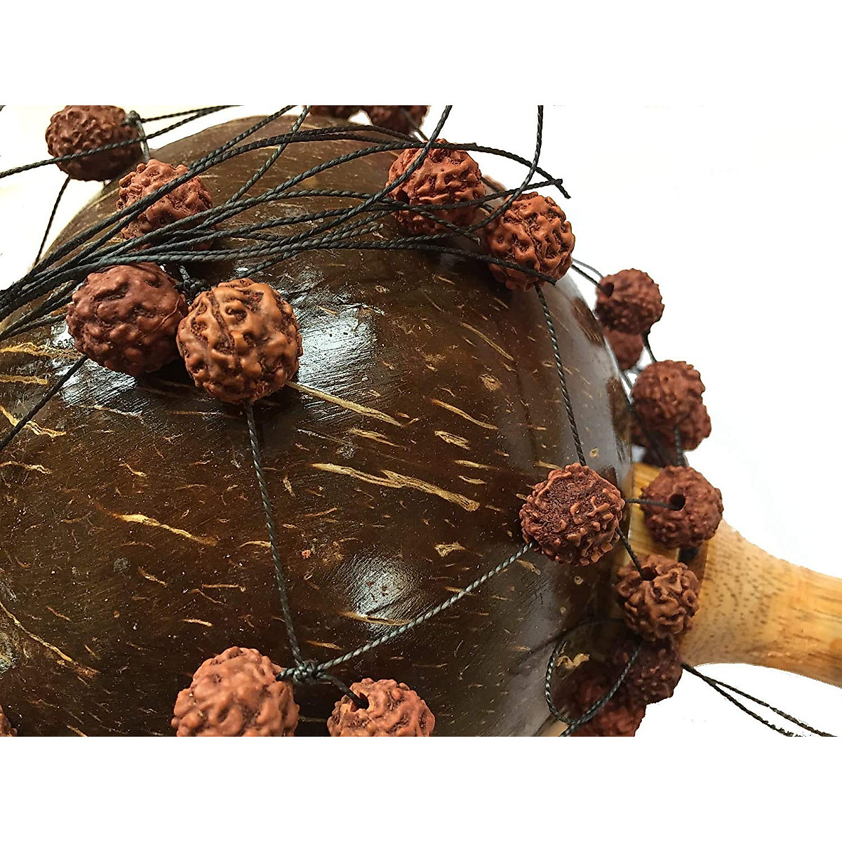 Jive Coconut Wood Maraca Shaker With Sacred Beads Musical Percussion Instrument Nice Sound