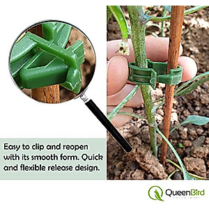 QueenBird Plant Clips - 200 PCS - Green - Garden Clips for Tomato and Other Vine Plants - Trellis Clips - Tomato Plant Support - Upright and Healthier Grow