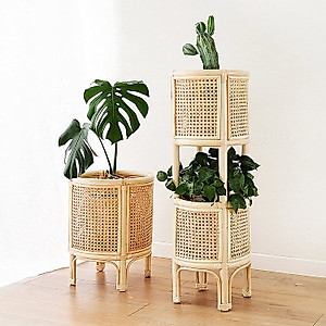 CLAYNIX 14" Width Cane Webbing, Natural Rattan Webbing for Caning Projects - Rattan Cane Webbing Roll - Net Open Weave Wicker Cane Webbing Material for Cabinet, Door (2 Ft Length)