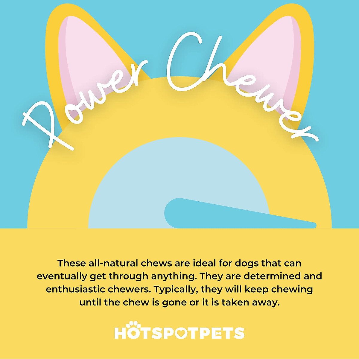 hotspot pets All Natural Beef Knee Caps for Dogs, Dog Bones, Single Ingredient Dog Chews for Aggressive Chewers - Long Lasting Rawhide Alternative Meat Bones