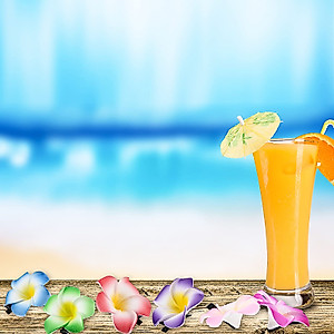 WILLBOND 36 Pieces Plumeria Flower Hair Clips Hawaiian Foam Flower Frangipani Artificial Clips for Bridal Wedding Luau Beach Tropical Vacation Party Hair Decorations(5 cm/ 1.97 inch)