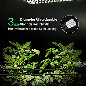 VIVOSUN 2 x 4Ft. Elastic Trellis Netting with 4 Hooks for Climbing Plants, Vegetables, Fruits, and Flowers, 1-Pack