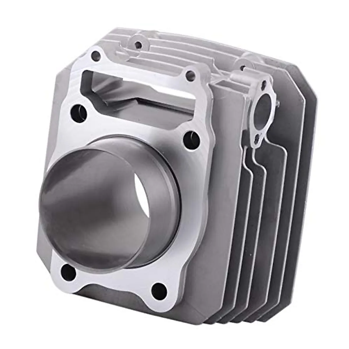 Mallofusa Cylinder Piston Gasket Assemblies Top End Rebuild Kit Compatible with Honda FourTrax 300 1988-2000 TRX300 FW 2x4 4x4