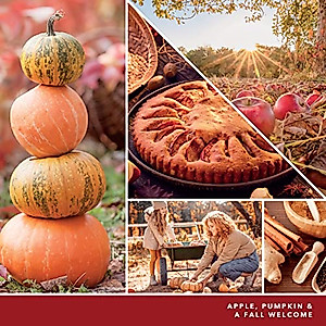 Yankee Candle® Apple Pumpkin - Original Large Jar Scented Candle