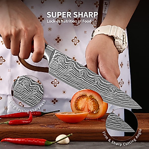 AIXIHOM Kitchen Chef Knife 8 inch Japanese Chefs Knife,Professional Chef Knives for Cooking,Carbon Stainless Steel Sharp Cutting Knife with Ergonomic Handle & Gift Box