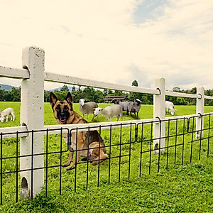 10 Pack Animal Barrier Fence, 17 Inch(H) X 10.8 Ft(L) No Dig Garden Decorative Fencing for Dog, Rabbits, Rustproof Metal Wire Panel Border for Ground Stakes, Outdoor Yard Landscape Patio