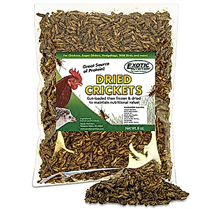 8 oz Dried Crickets - High Protein Insect Treat - Chickens, Wild Birds, Hedgehogs, Bluebirds, Reptiles, Sugar Gliders, Opossums, Skunks, Lizards, Bearded Dragons, Fish, Amphibians, Turtles (1)