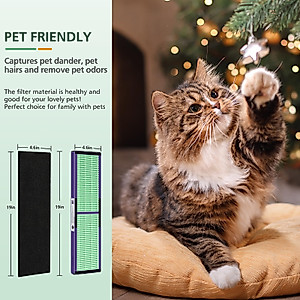 isinlive 2 Pack FLT5000 True HEPA Filter C Replacement with Pet Pure Treatment, and 8 Pack Activated Carbon Pre-Filters for Ger Guardian Air Purifier FLT5111 AC5000 AC5000E AC5250PT AC5350B AC5350BCA