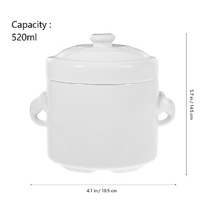 HEMOTON White Ceramic Stew Pot with Lid Steam Soup Bowl with Handles Steaming Cup Soup Noodle Bowl Stockpot Cookware for Egg Custard Medicinal and Birds Nest