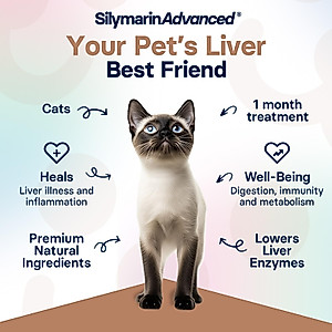 SilymarinAdvanced Liver Health Supplement for Cats - Milk Thistle for Cats Liver Support with S-Adenosylmethionine (Same) & Silybin - Liver Detox for Cats - 30 Tablets