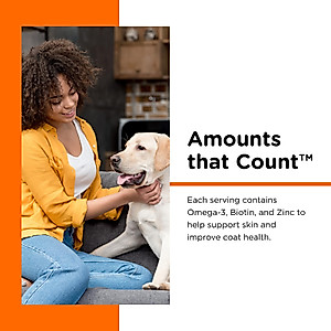 Nutri-Vet Skin & Coat Biscuits for Dogs - Tasty Dog Treat & Dog Skin and Coat Supplement - Small Sized Biscuit - Omega-3 and Biotin Dog Treat - 16 oz