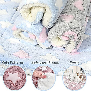 ROZKITCH 4 Pieces Guinea Pig Blanket Bed, Washable Hamster Bedding Pad for Small Animal, Soft Plush Fleece Mat for Sugar Glider Hedgehog Chinchilla Sleep Bed, Rabbit Cage Accessories 11.8 x 15.7inch