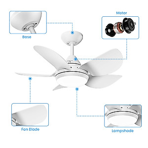 CJOY Ceiling Fans with Lights, 30 inch Small White Ceiling Fan with Light and Remote, LED Dimmable & Memory Function, 5 ABS Reversible Blades Fan Light for Kids Bedroom/Sloped Ceilings