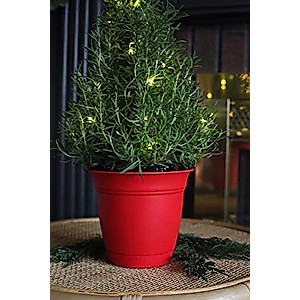 The HC Companies 8 Inch Eclipse Round Planter with Saucer - Indoor Outdoor Plant Pot for Flowers, Vegetables, and Herbs, Strawberry Red