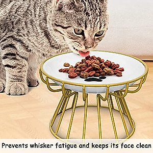 BNOSDM Raised Cat Dish Ceramic Shallow Cat Bowl with Gold Stand Elevated Pet Food Plate for Indoor Cat Kitten Small Dogs