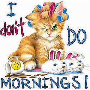 CafePress I Dont Do Mornings Mug Ceramic Coffee Mug, Tea Cup 11 oz