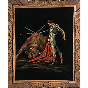 Bullfighter