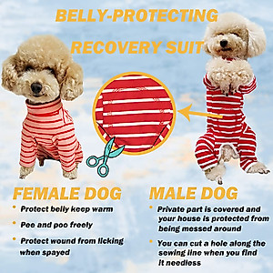 Dog’s Recovery Suit Post Surgery Shirt for Puppy, Full Coverage Dog's Bodysuit Wound Protective Surgical Clothes for Small and Medium Pets (Green Black Stripe-m)