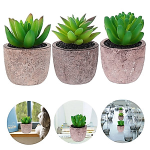WOONEKY 1 Set 3 Pcs Succulent Bonsai Faux Succulents Potted Plastic Succulents Plants Various Faux Succulents Home Decor Artificial Plant Fake Succulent Mini False Cactus Pulp Basin Office