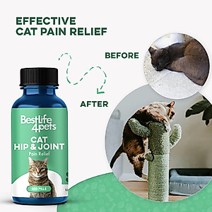 Cat Hip and Joint Pain Relief Supplement - Cat Arthritis Pain Relief, Heal from Sprains, Inflammation and Injuries, Improve Mobility - Natural Easy-to-Swallow, Odorless, Tasteless - 400 Pills