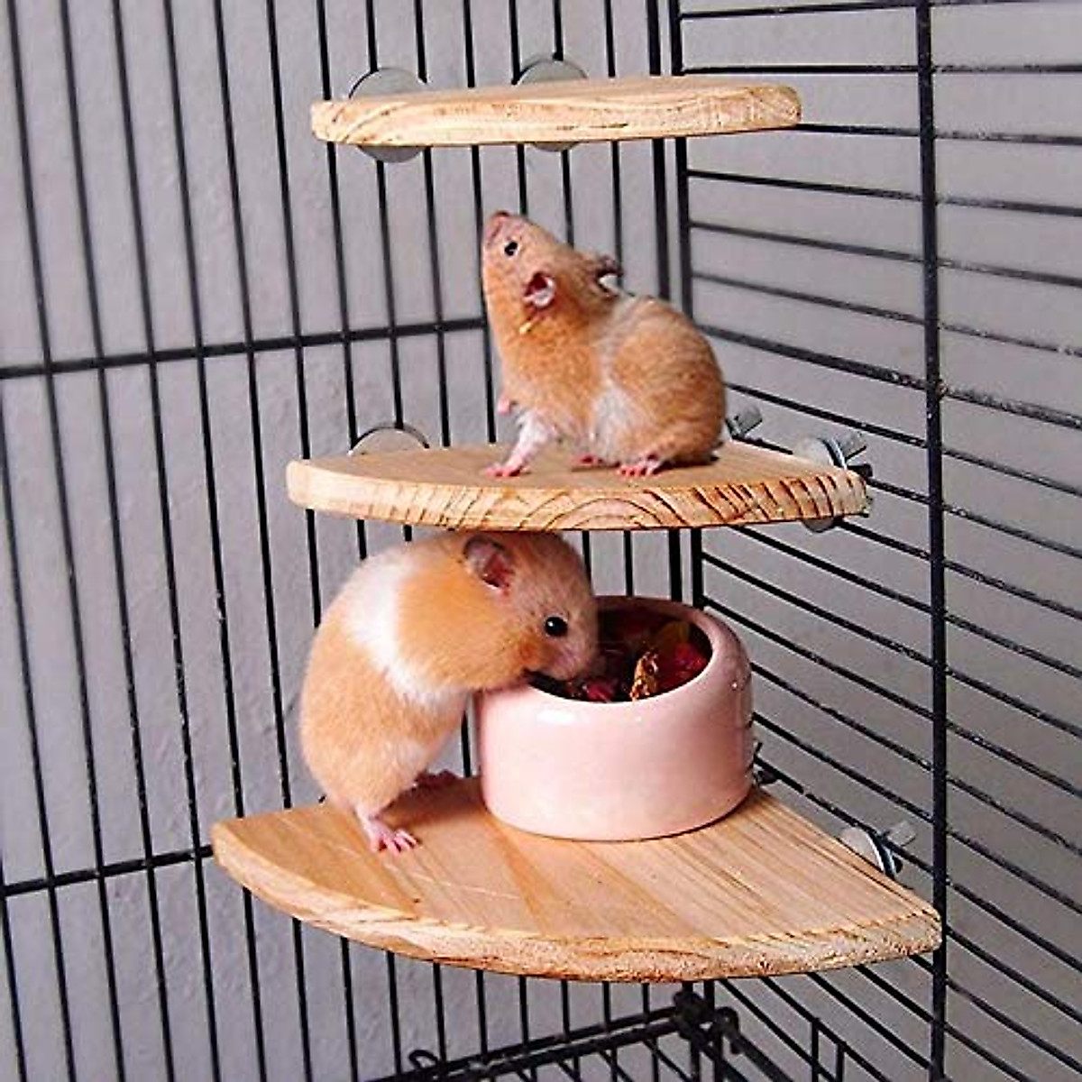AOOF Wooden Coin Parrot Bird Cage Perches Stand Platform Pet Budgie Hanging Toy Pet Toys (Color : L)