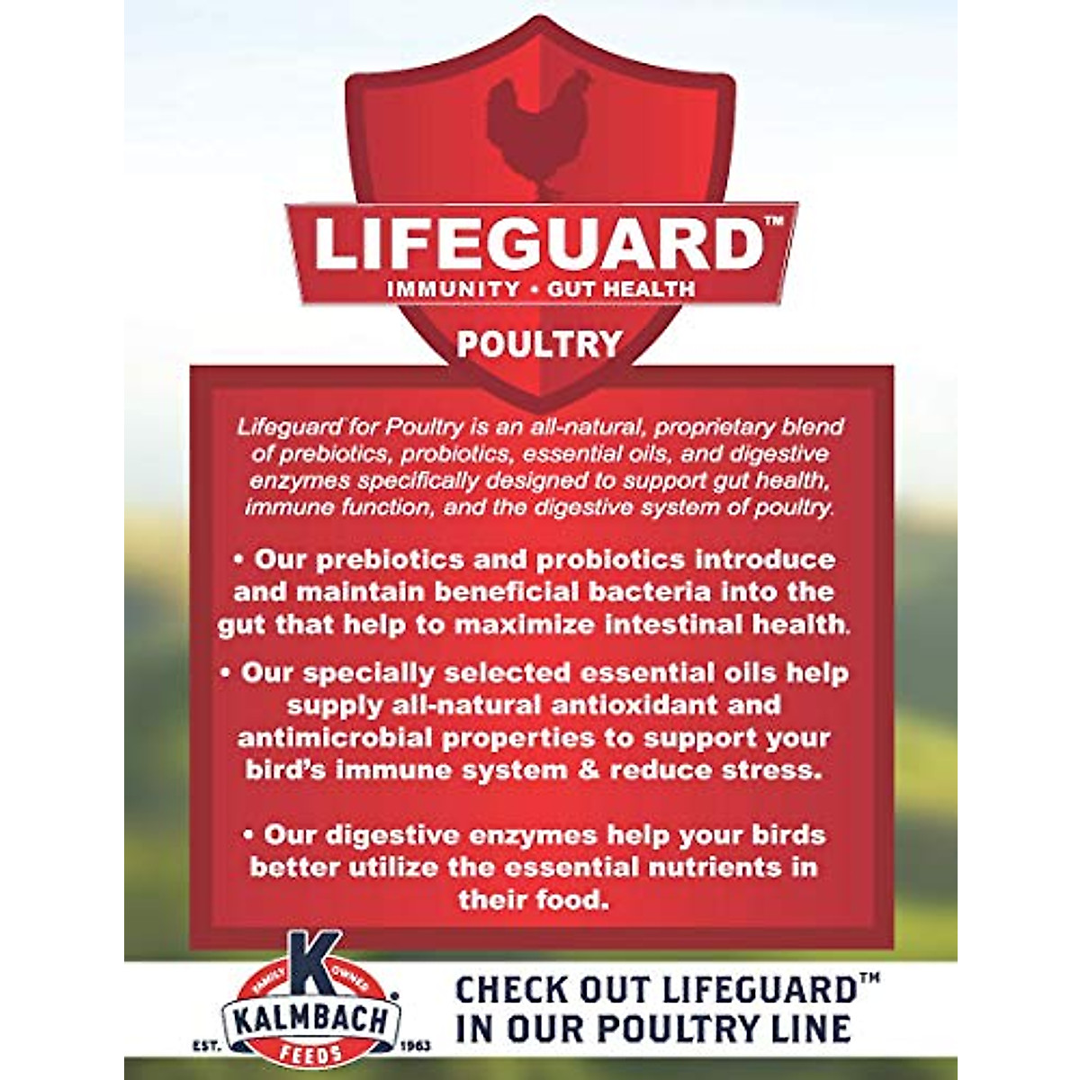 16% Flock Maintainer Pelleted Feed for Mixed Flocks of Poultry, 50 lb Bag