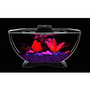 BettaTank 1-Gallon Deco Fish Tank with LED Lighting