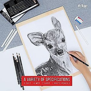 Galart Supplies Charcoal Drawing Set – 12 Pieces Pre-Sharped Soft, Medium, Hard and White Charcoal Pencils for Drawing with Organizer Tray, Shading and Sketching for Artists and Beginners