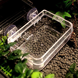 Amphibians Reptiles Anti Escape Feeder Worm Feeding Basin Tortoise Lizard Crawler Food Bowl Suction Cup Feeder for Reptiles Bearded Dragon Accessories Food Cricket Container Gecko