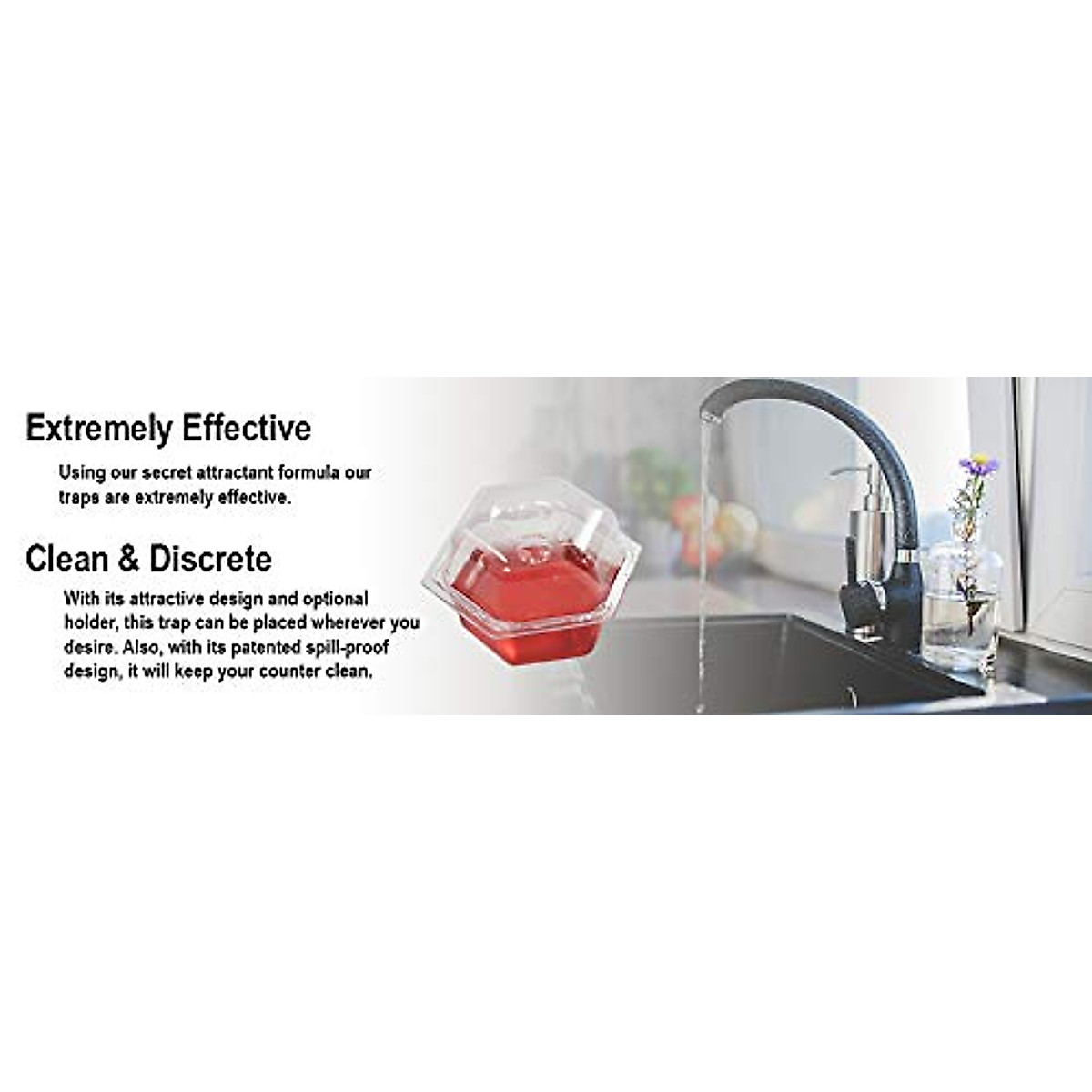 BEAPCO 10036 7 Red 6-Pack Premium Fruit Fly 6 Pre-Filled Trap Flies Indoors | Easy Effective and Safe to Use | Food-Based Lure/Bait Catcher