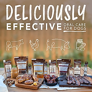 TropiClean Enticers Dog Teeth Cleaning Treat Gel | Smoked Beef Flavored Dog Toothpaste Alternative | 4 oz.